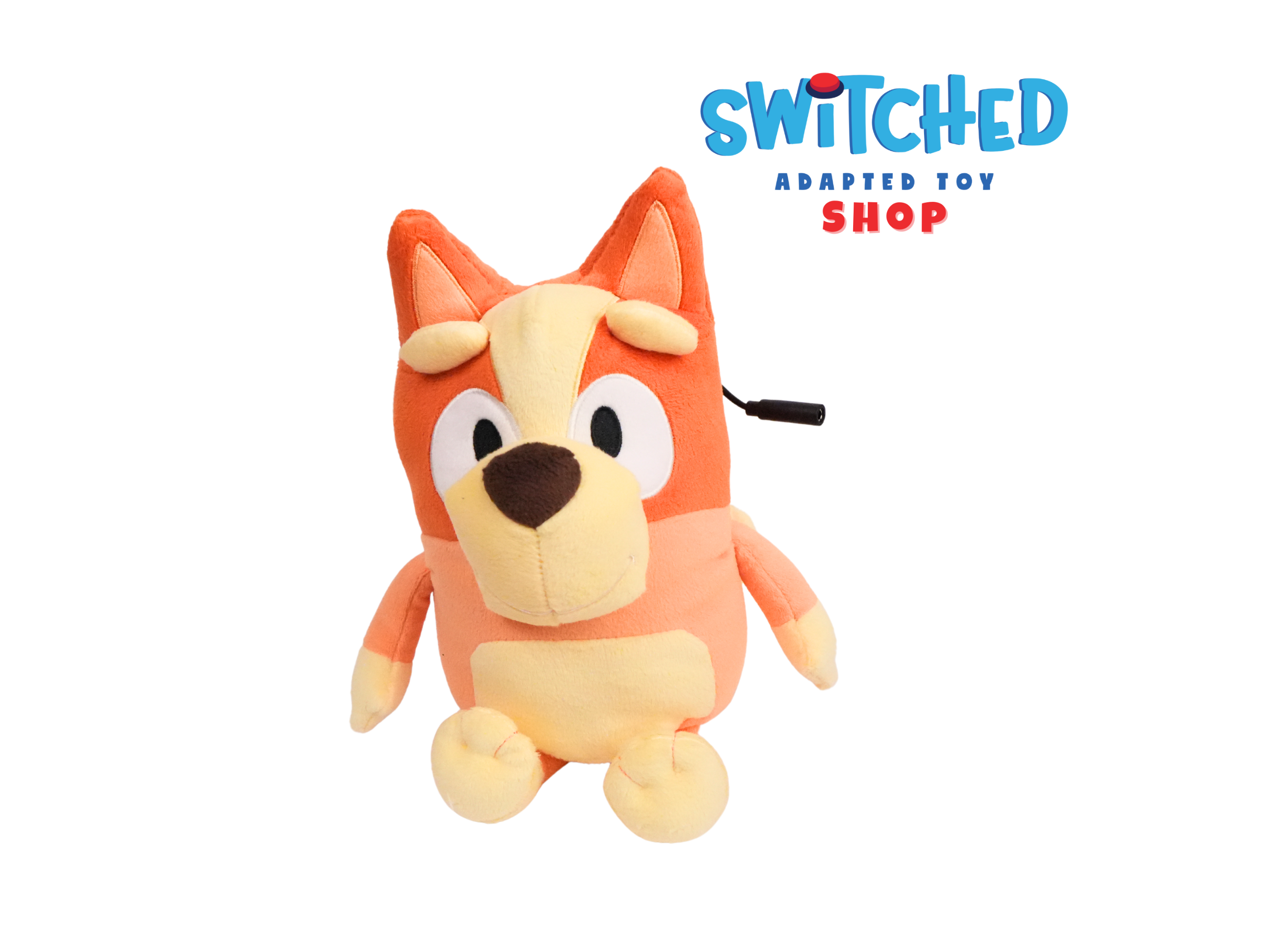 Switch Adapted Talking Bingo – Switched Adapted Toys